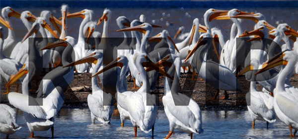 Converting RTMP to HLS for Live Streaming to Mobile Devices